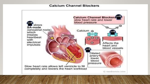 Calcium channel blockers