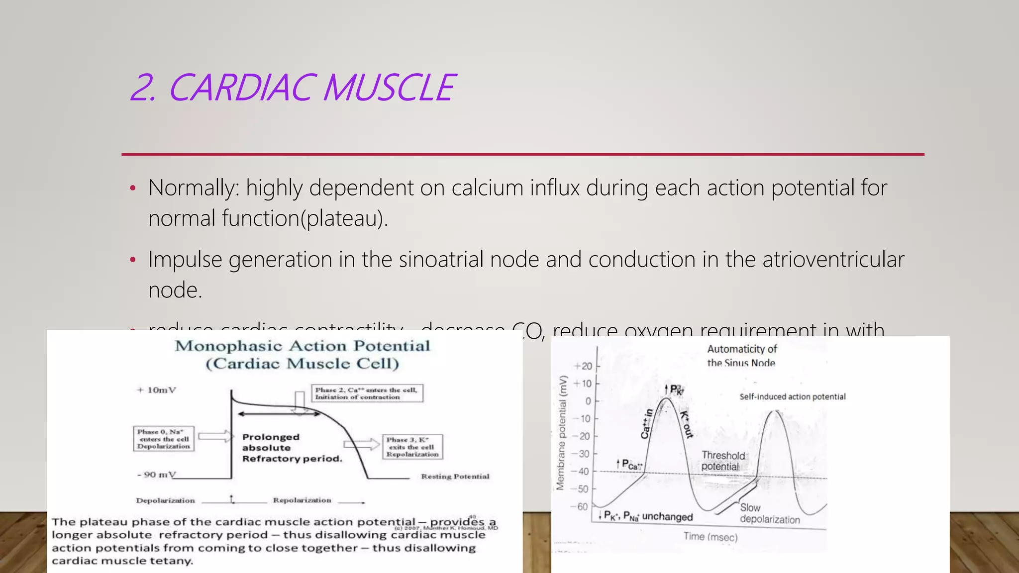 Calcium channel blockers | PPTX