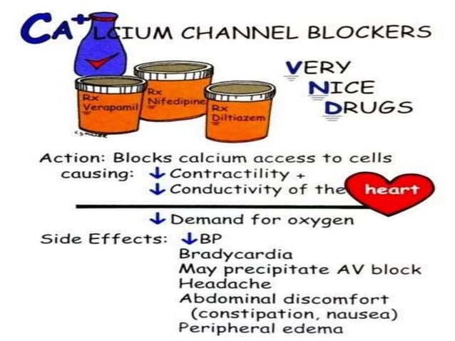Calcium channel blockers | PPT