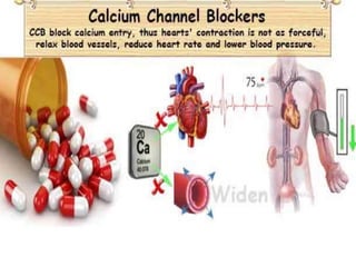 Calcium channel blockers | PPTX