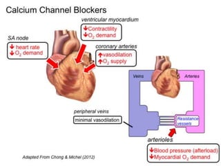Calcium channel blockers | PPTX