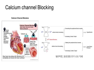 Calcium channel blockers | PPTX