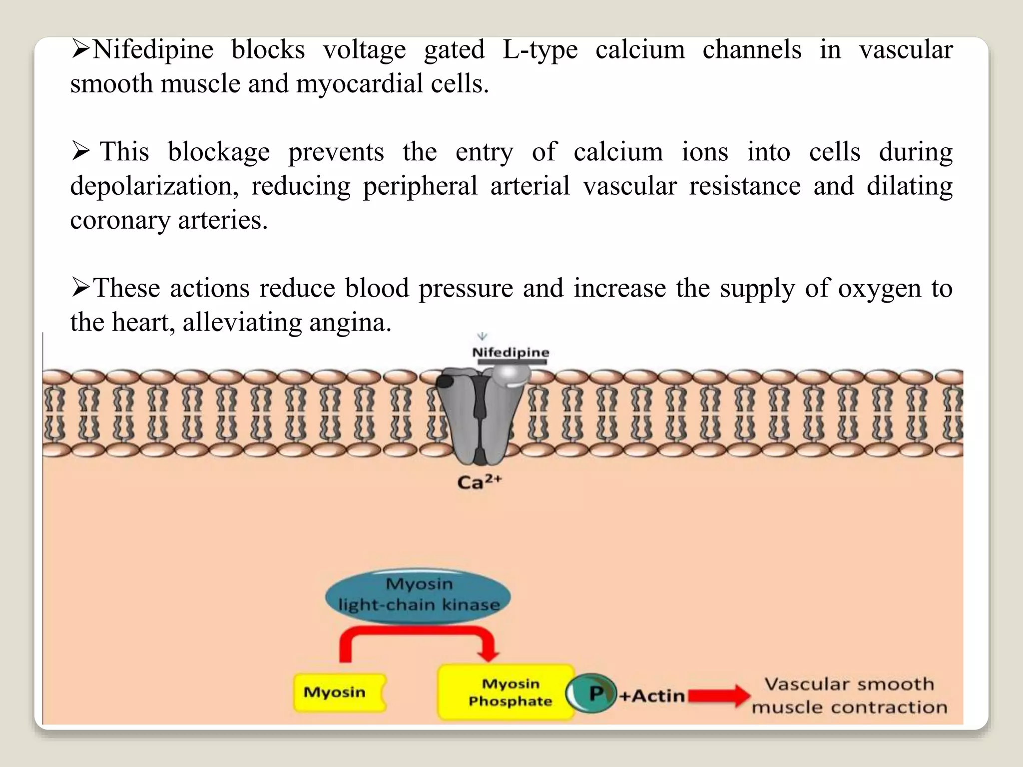 Calcium channel blockers | PPTX