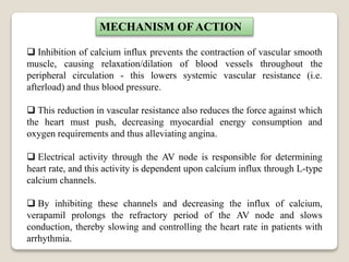 Calcium channel blockers | PPTX