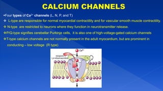 Calcium channel blockers - Medicinal chemistry for B.Pharm. | PPTX