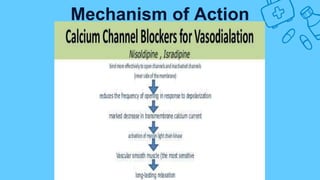 Calcium channel blockers | PPTX