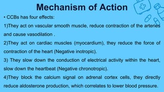 Calcium channel blockers | PPTX