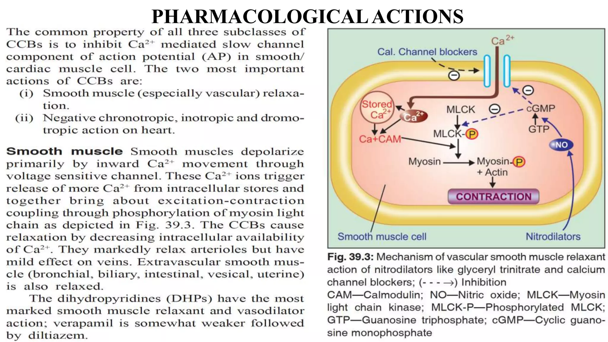 Calcium channel blockers.pptx | Chemistry | Science