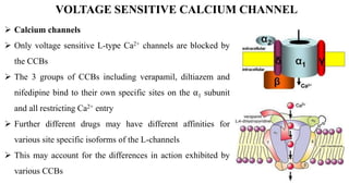 Calcium channel blockers.pptx | Chemistry | Science