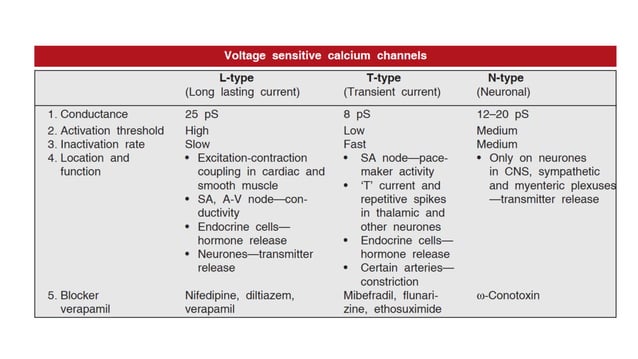 Calcium channel blockers.pptx | Chemistry | Science