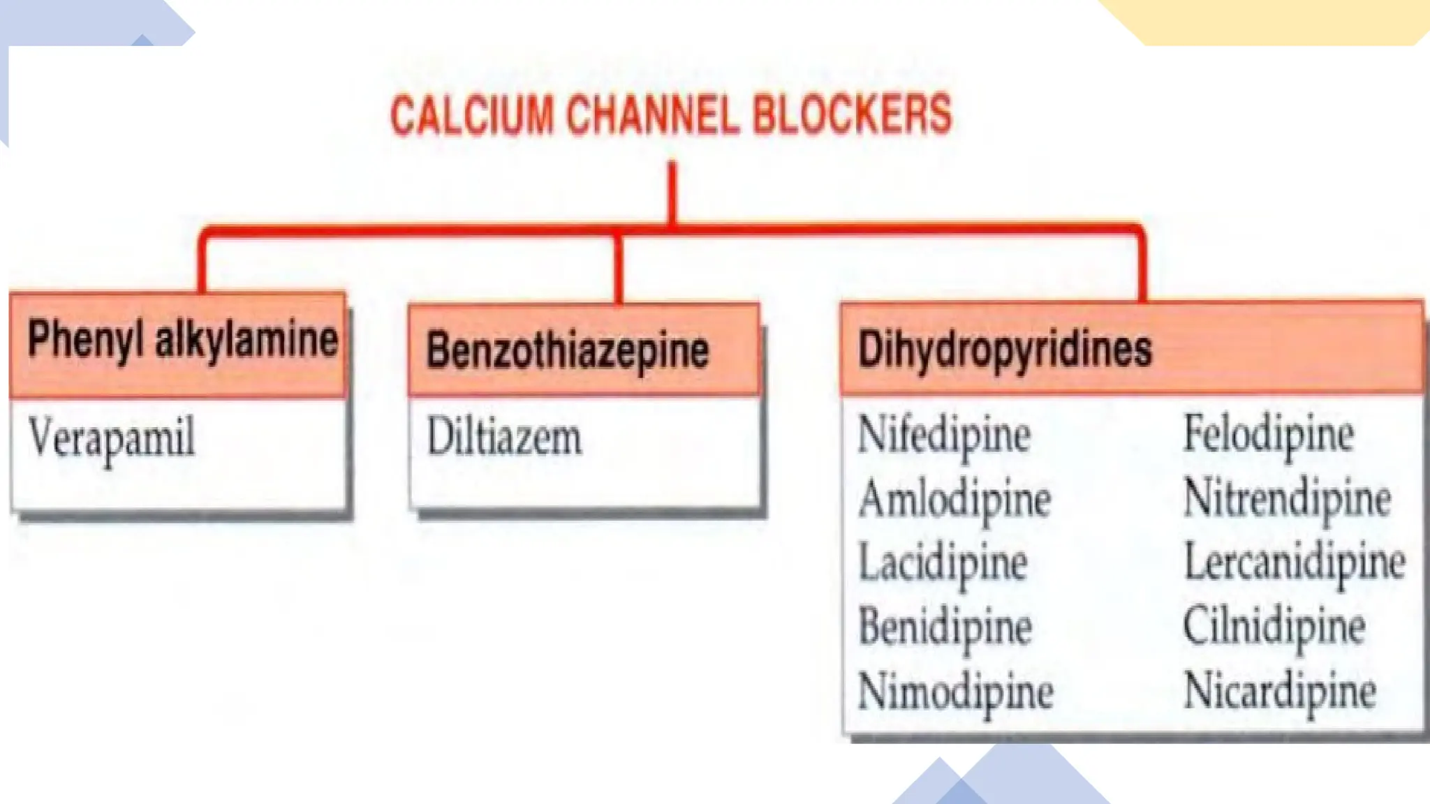 Pharmacology of Calcium Channel Blockers | PPTX