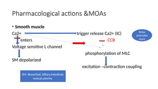 Pharmacology of Calcium Channel Blockers | PPTX