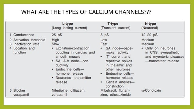 Calcium channel blockers- Cardiovascular system drugs.pptx