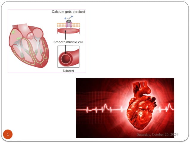 Calcium channel blockers calcium channel antagonists or calcium ...