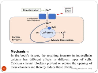 Calcium channel blockers calcium channel antagonists or calcium ...