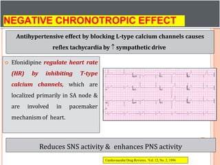 calciumchannelblockersandcardiovascularsafety-220914142239-58a39fa7.pptx