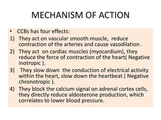 Calcium channel blockers nikku | PDF