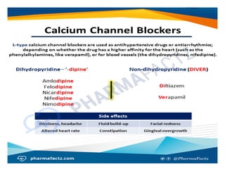 Calcium channel blockers nikku | PPT