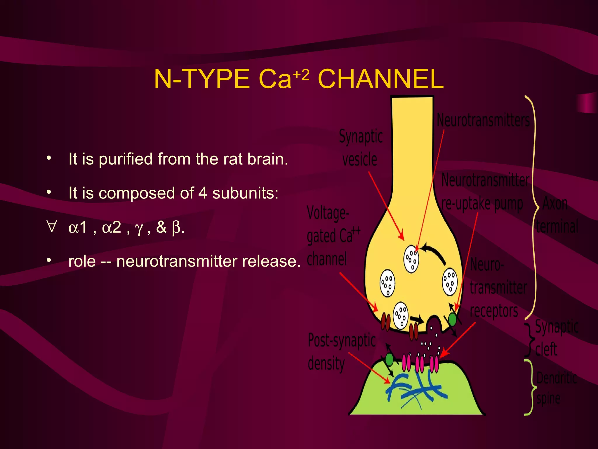 Calcium channels –physiology and Therapeutics uses.. | PPT