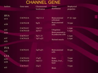 Calcium channels –physiology and Therapeutics uses.. | PPT