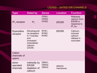 Calcium channels –physiology and Therapeutics uses.. | PPT