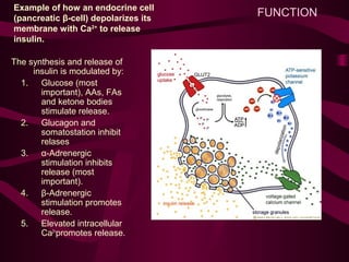 Calcium channels –physiology and Therapeutics uses.. | PPT