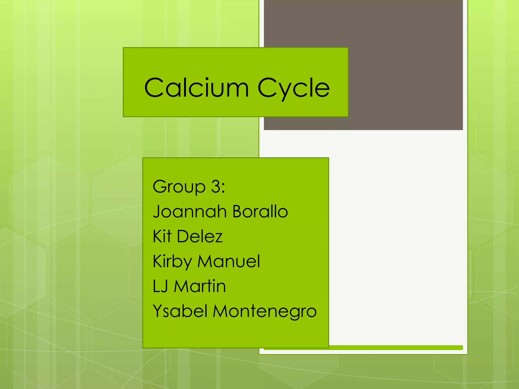 Calcium cycle | PPT