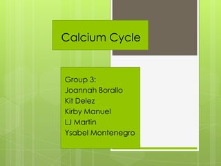 Calcium Nutrient Cycle