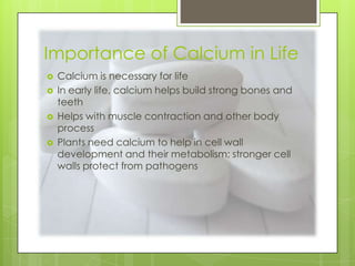 Ocean Calcium Cycle Steps