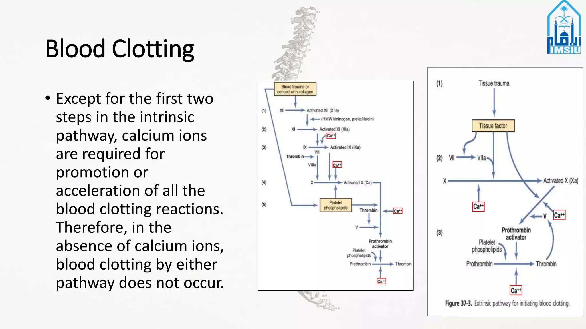Calcium disorders | PPTX