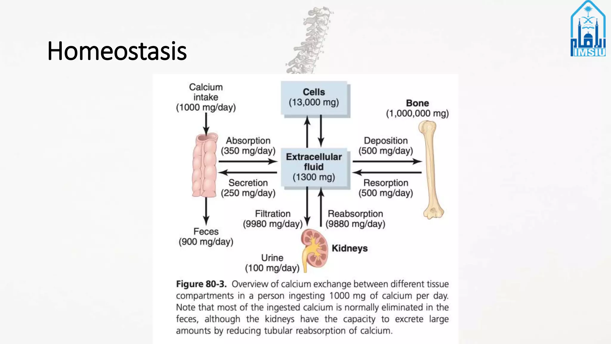 Calcium disorders | PPTX