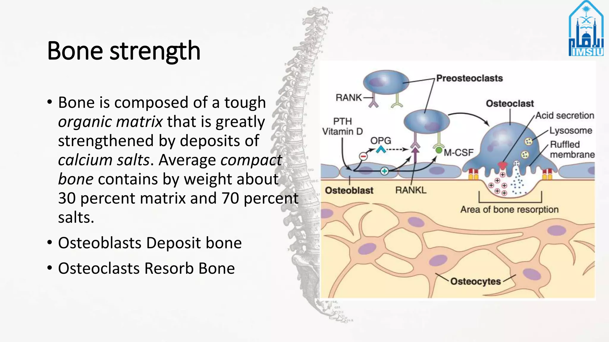 Calcium disorders | PPTX