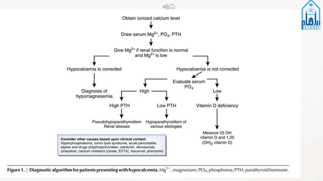 Calcium disorders | PPTX