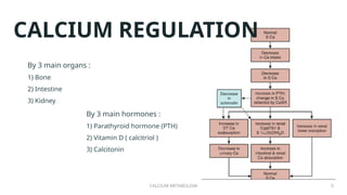 CALCIUM edited rinsha calcium metabolism | PPTX