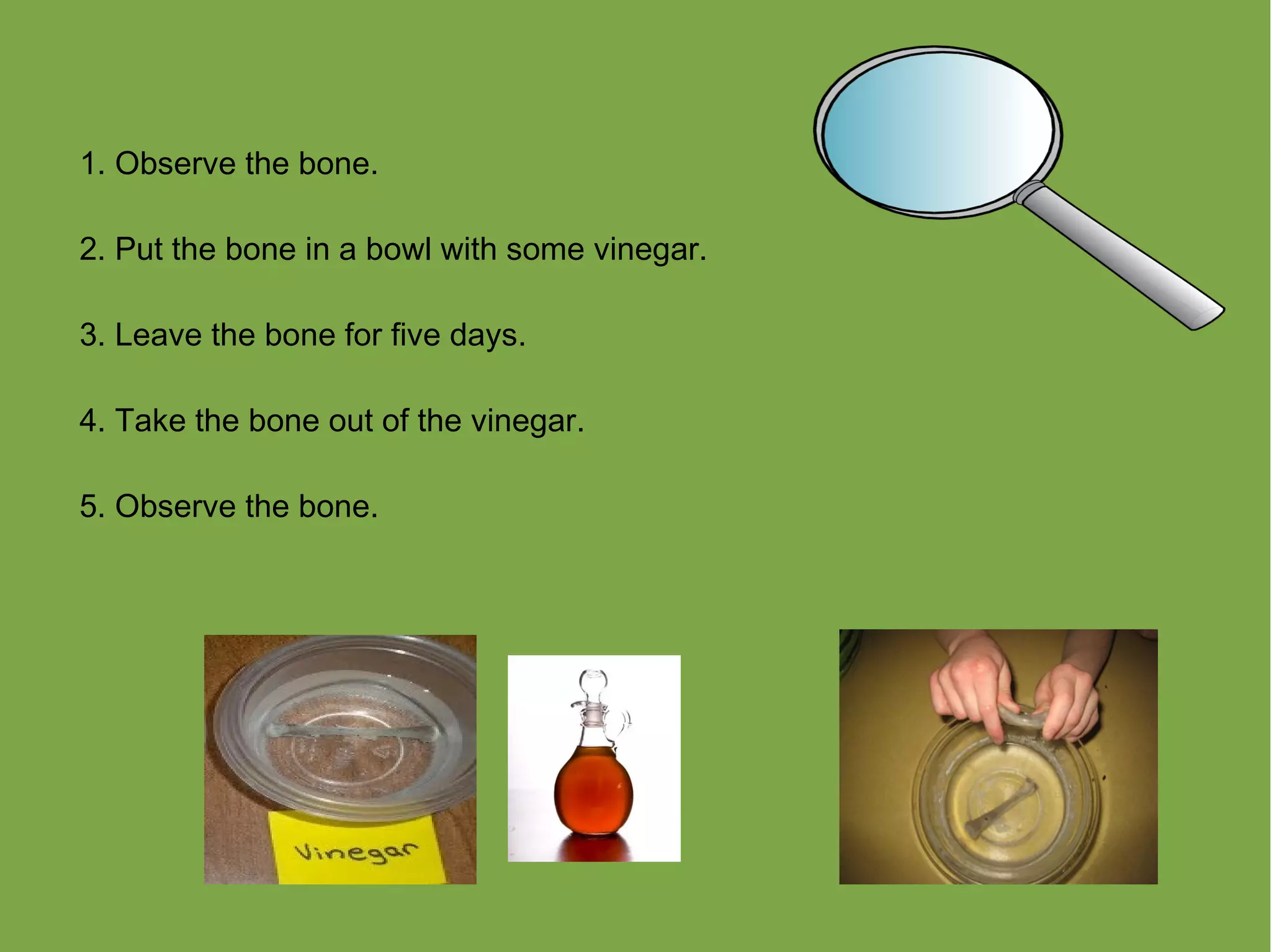 Calcium experiment | PPT