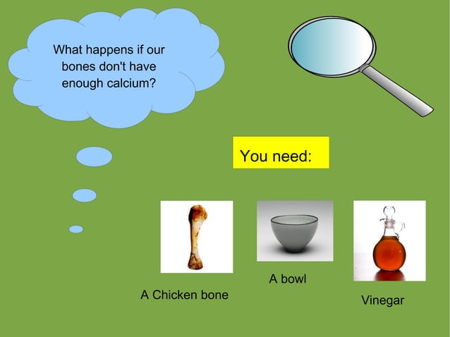 Calcium experiment | PPT