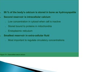 Calcium & factors affecting absortion of it | PPTX