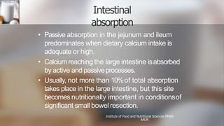calcium functions and significance.pptx