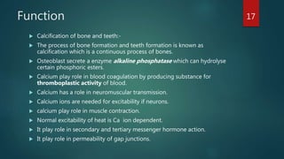 Calcium Presentation | PPT
