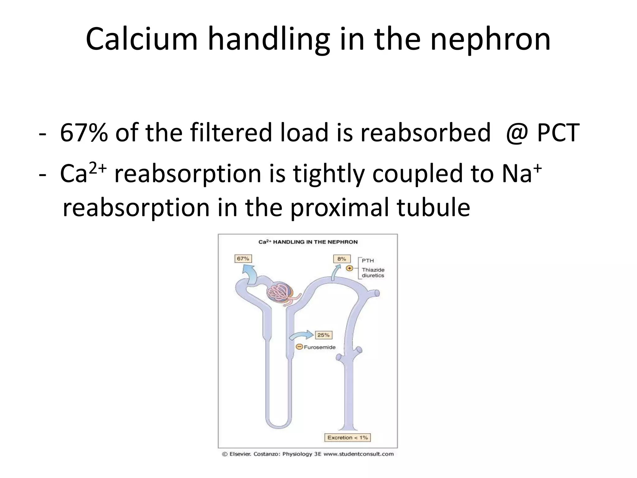 Calcium homeostasis | PPTX