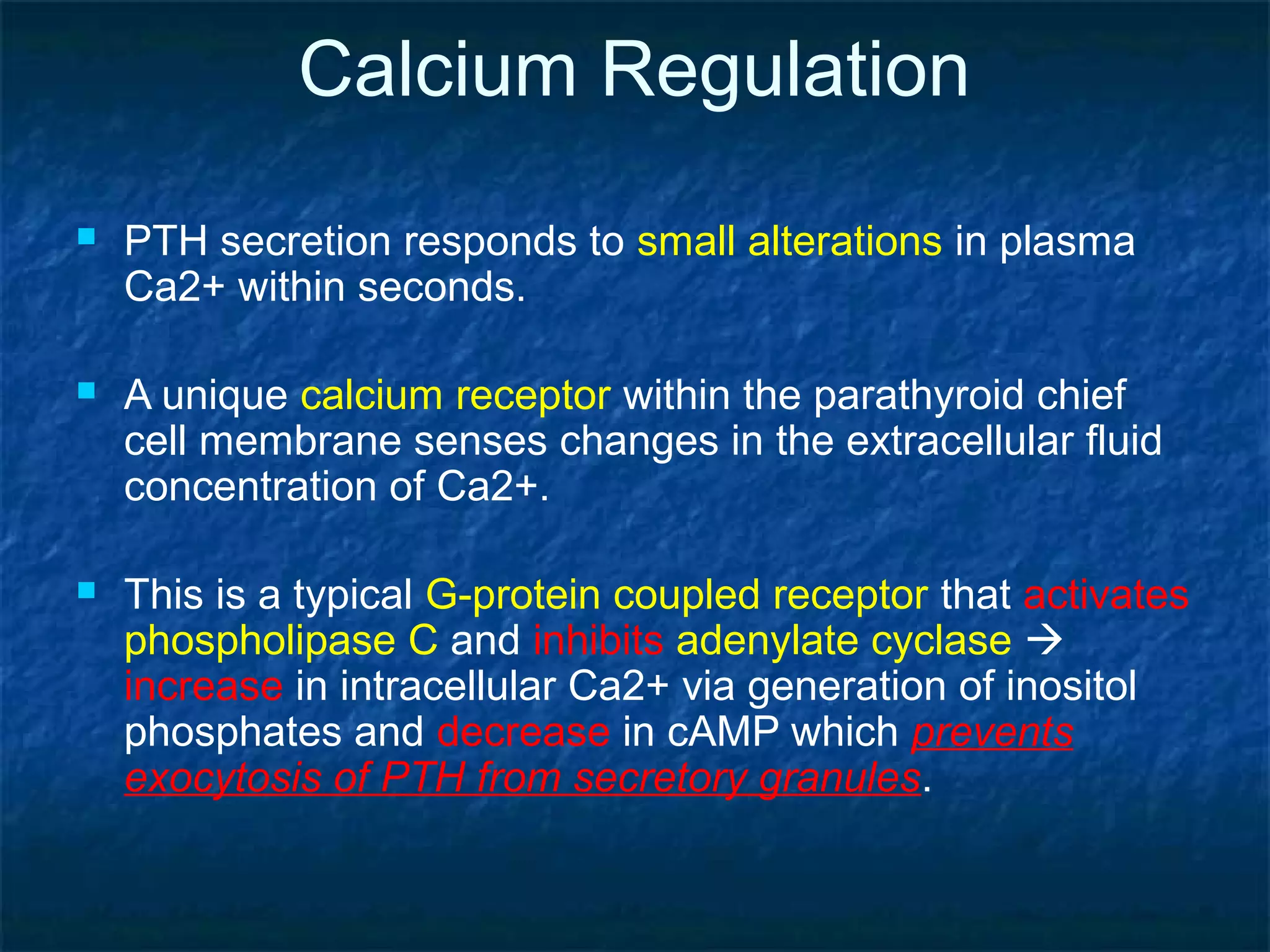 Calcium homeostasis | PPT
