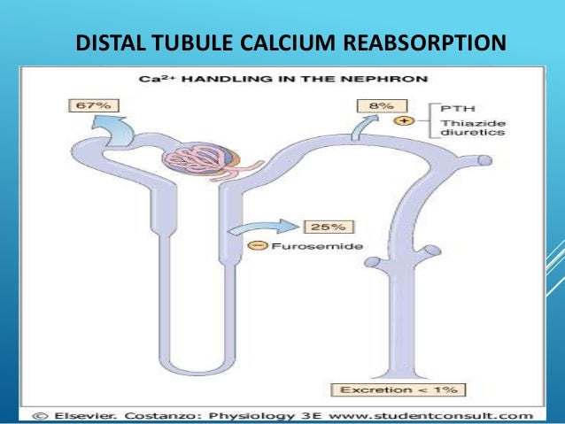 Calcium homeostasis