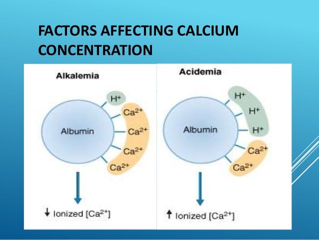 Calcium Homeostasis