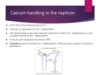 calciumhomeostasis-160709082520.pdf