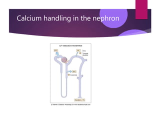 calciumhomeostasis-160709082520.pptx
