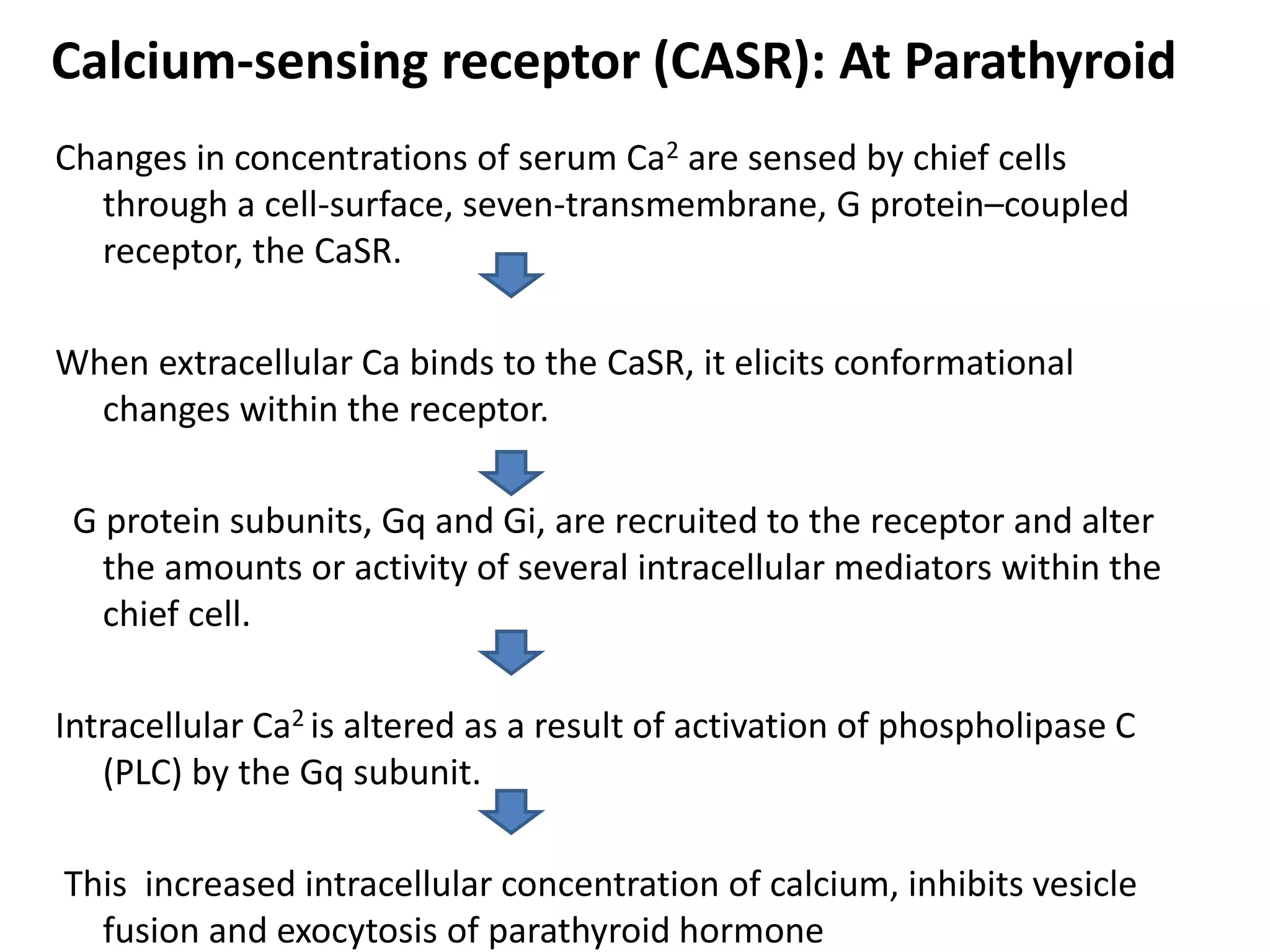 Calcium homeostasis | PPTX