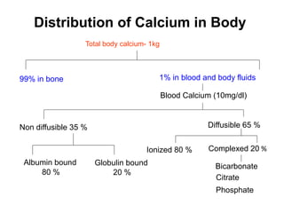 Calcium homeostasis | PPTX