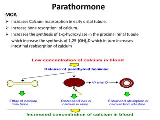 Calcium homeostasis | PPTX