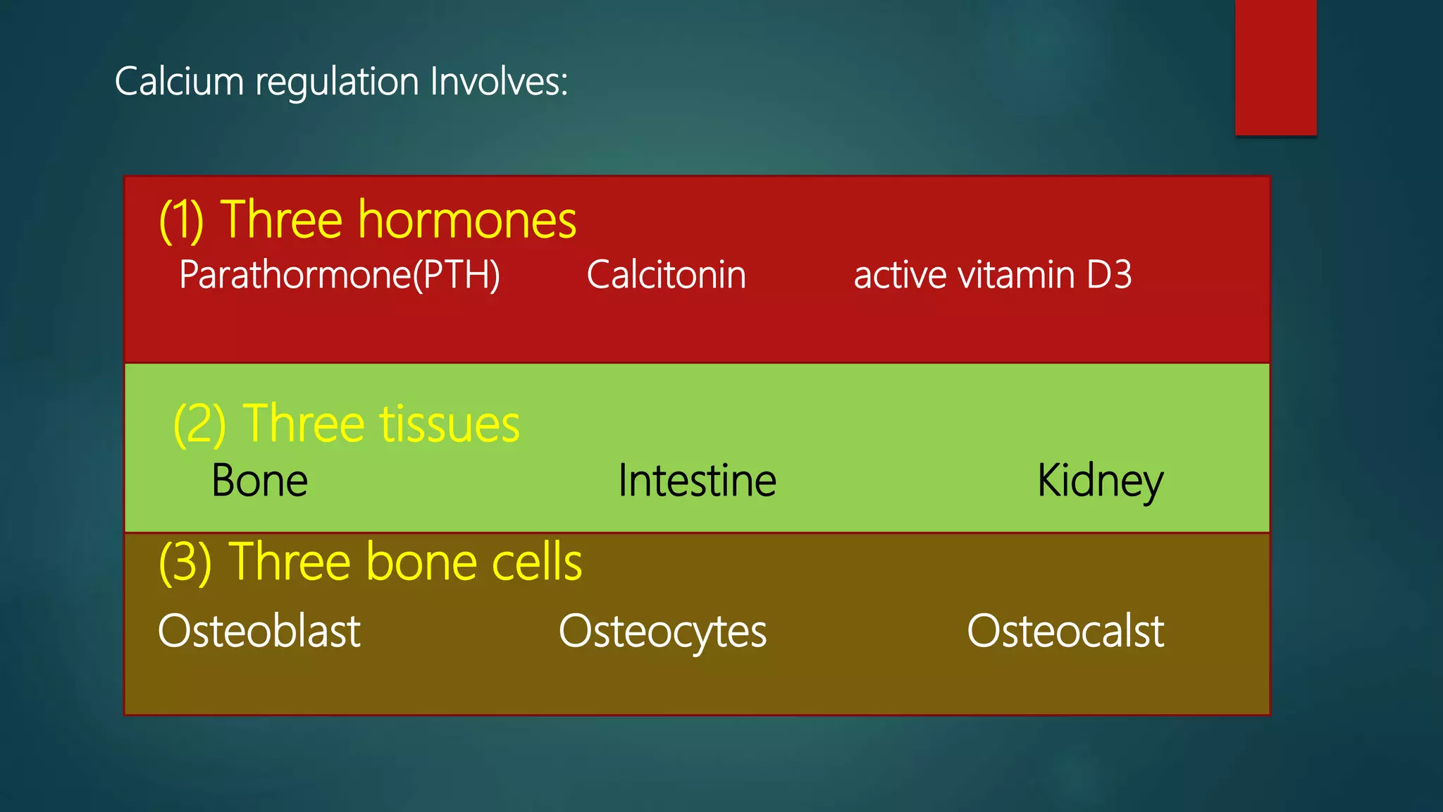 Calcium homeostasis | PPTX