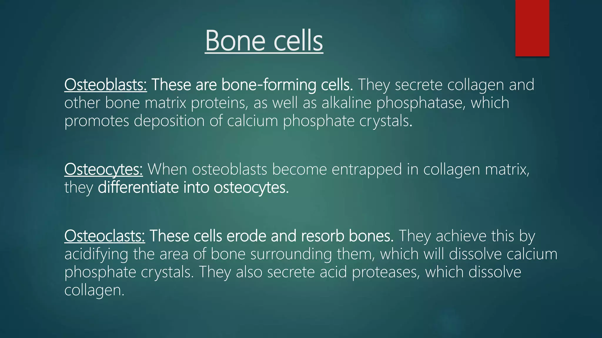 Calcium homeostasis | PPTX